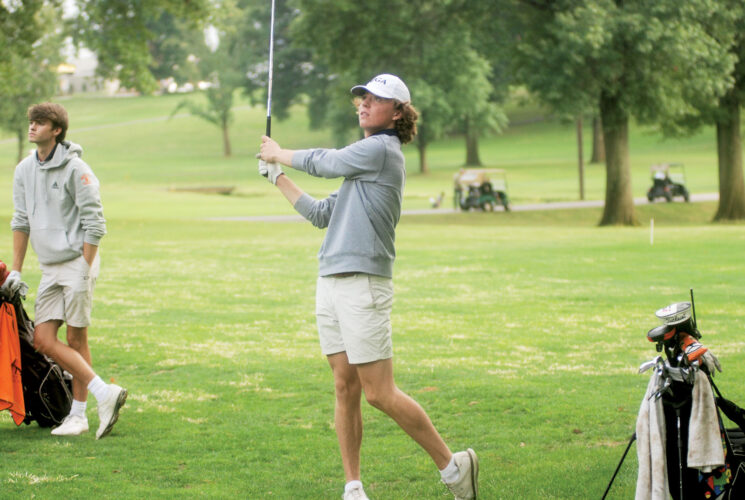 Tigers take down Warriors for senior night victory | News, Sports, Jobs ...